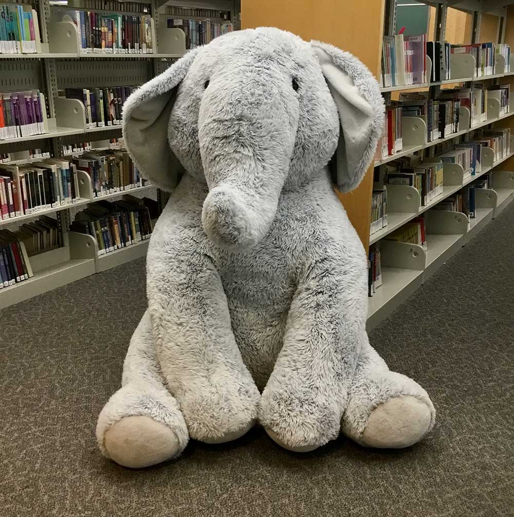 Winter Reading Program - Menomonee Falls Public Library
